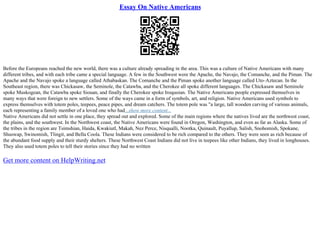 The United States And Native Americans Essay | PPT