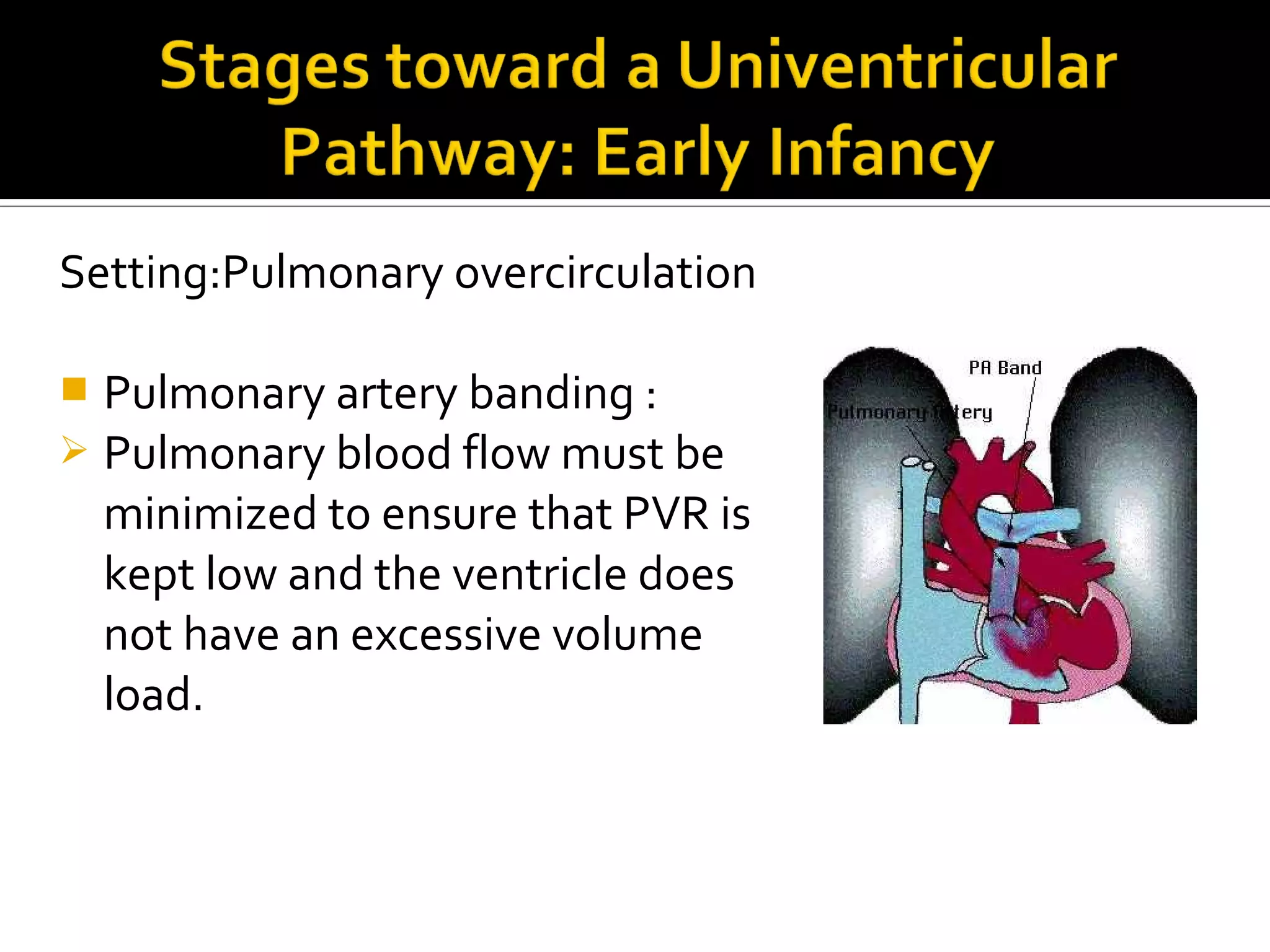 The univentricular repair indications, procedures, outcomes and ...