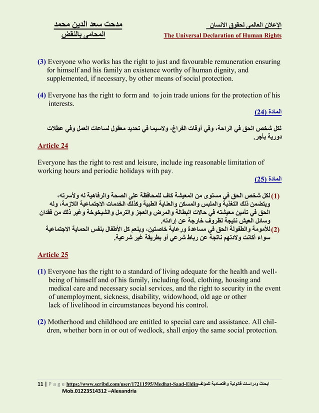 The universal declaration of human rights | PDF