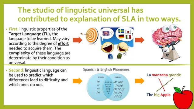 The universal hypothesis | PPTX