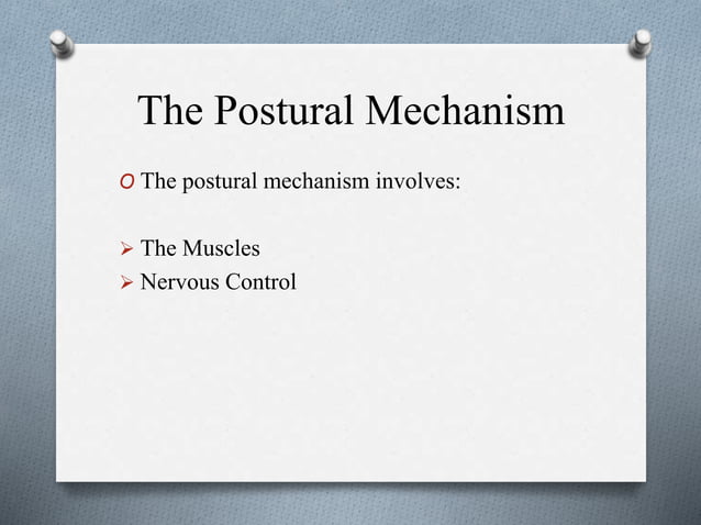 Posture | PPTX | Physical Therapy | Wellness