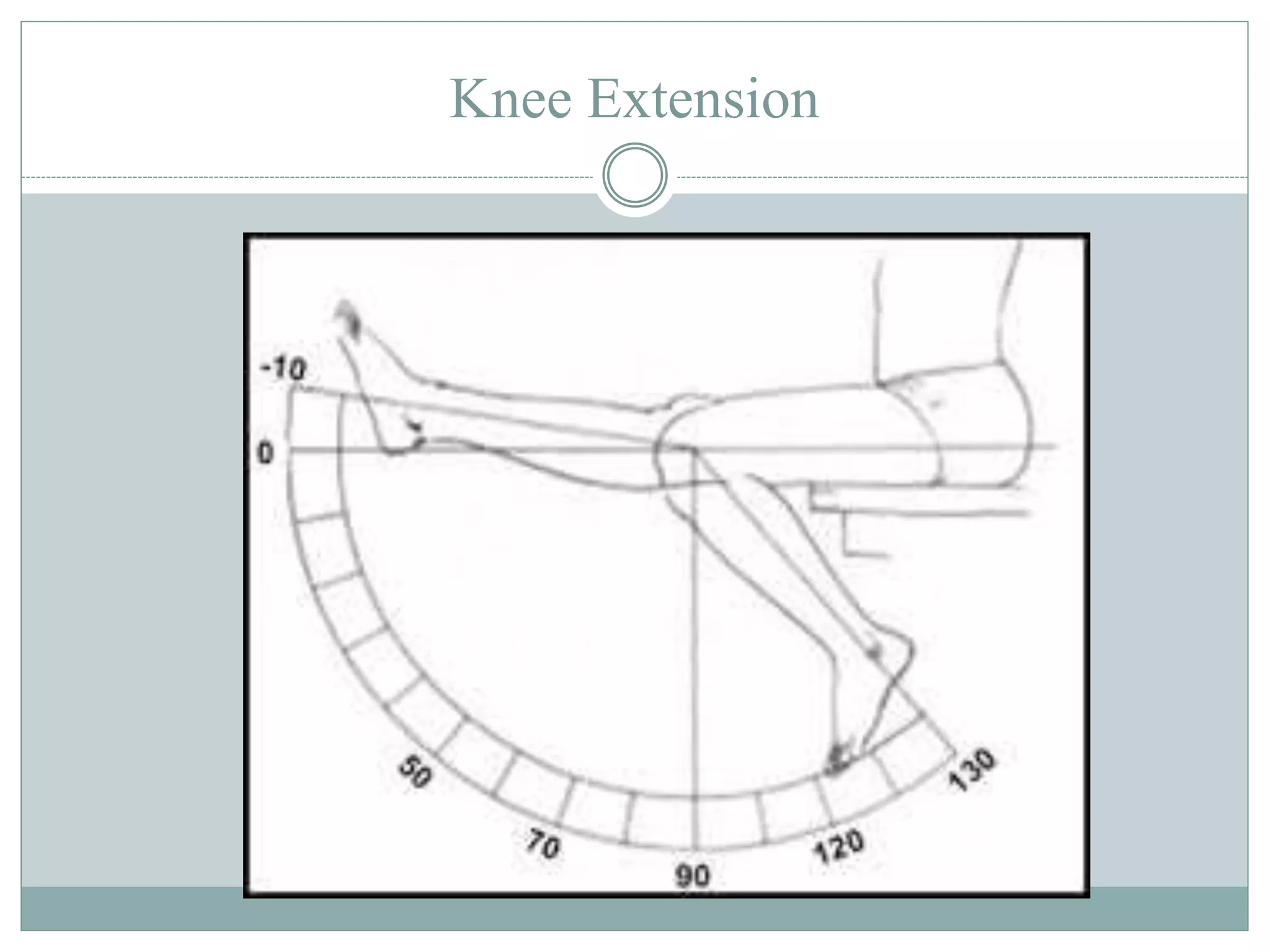 MMT for knee | PPTX