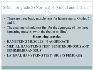 MMT for knee | PPTX