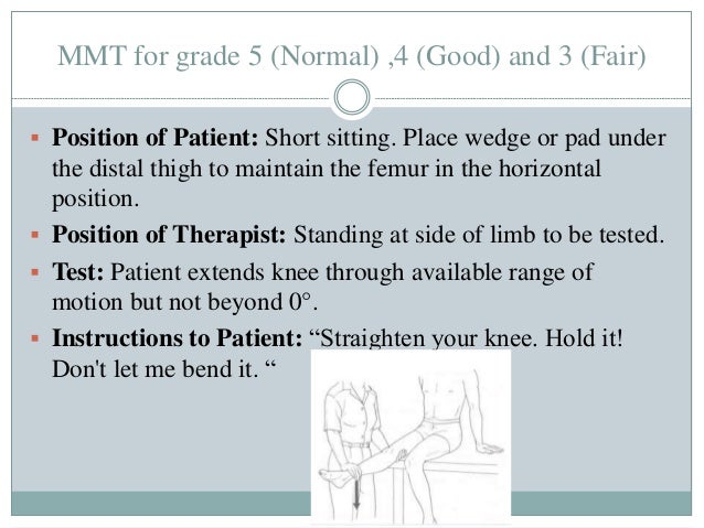 MMT for knee
