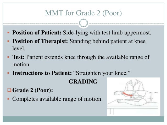MMT for knee