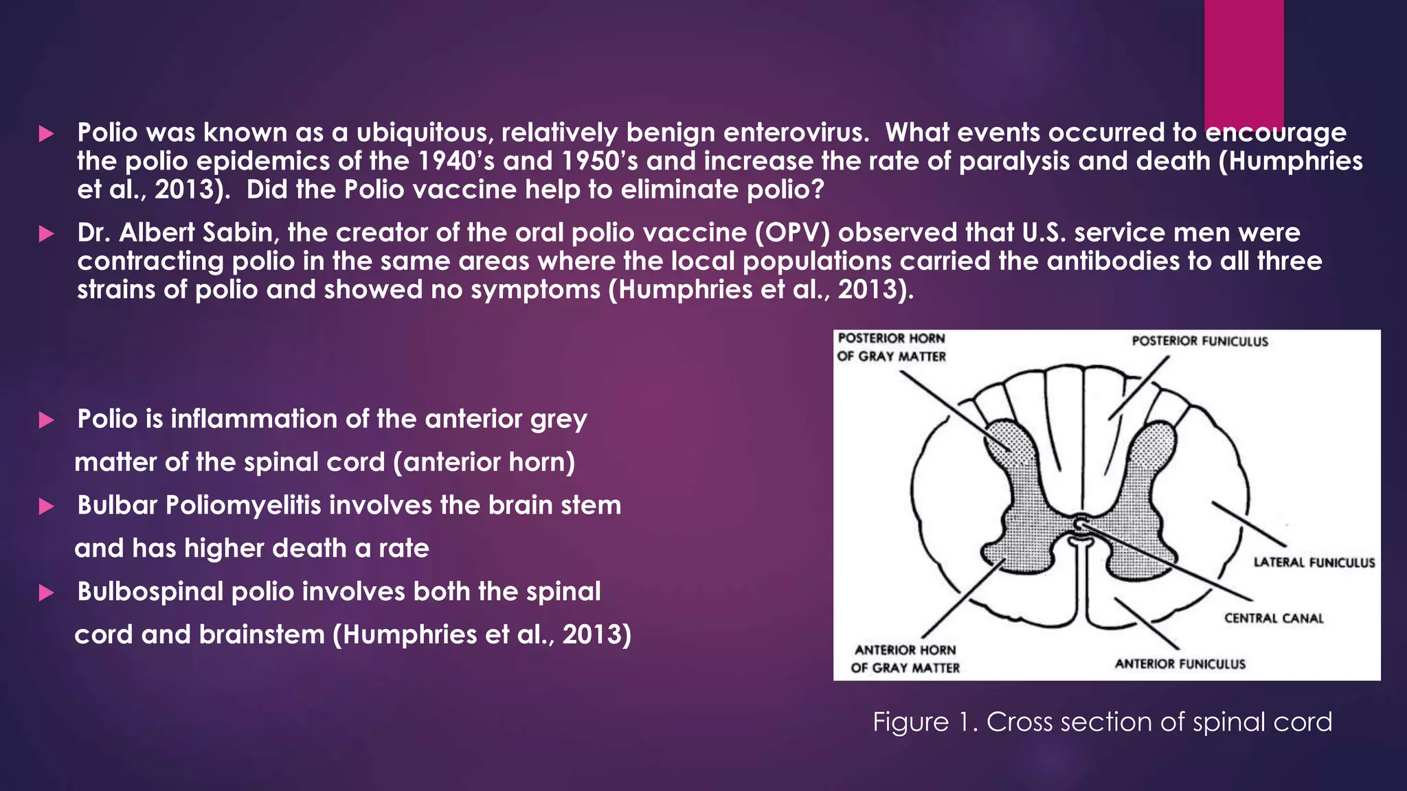 The unknown facts of polio | PPTX