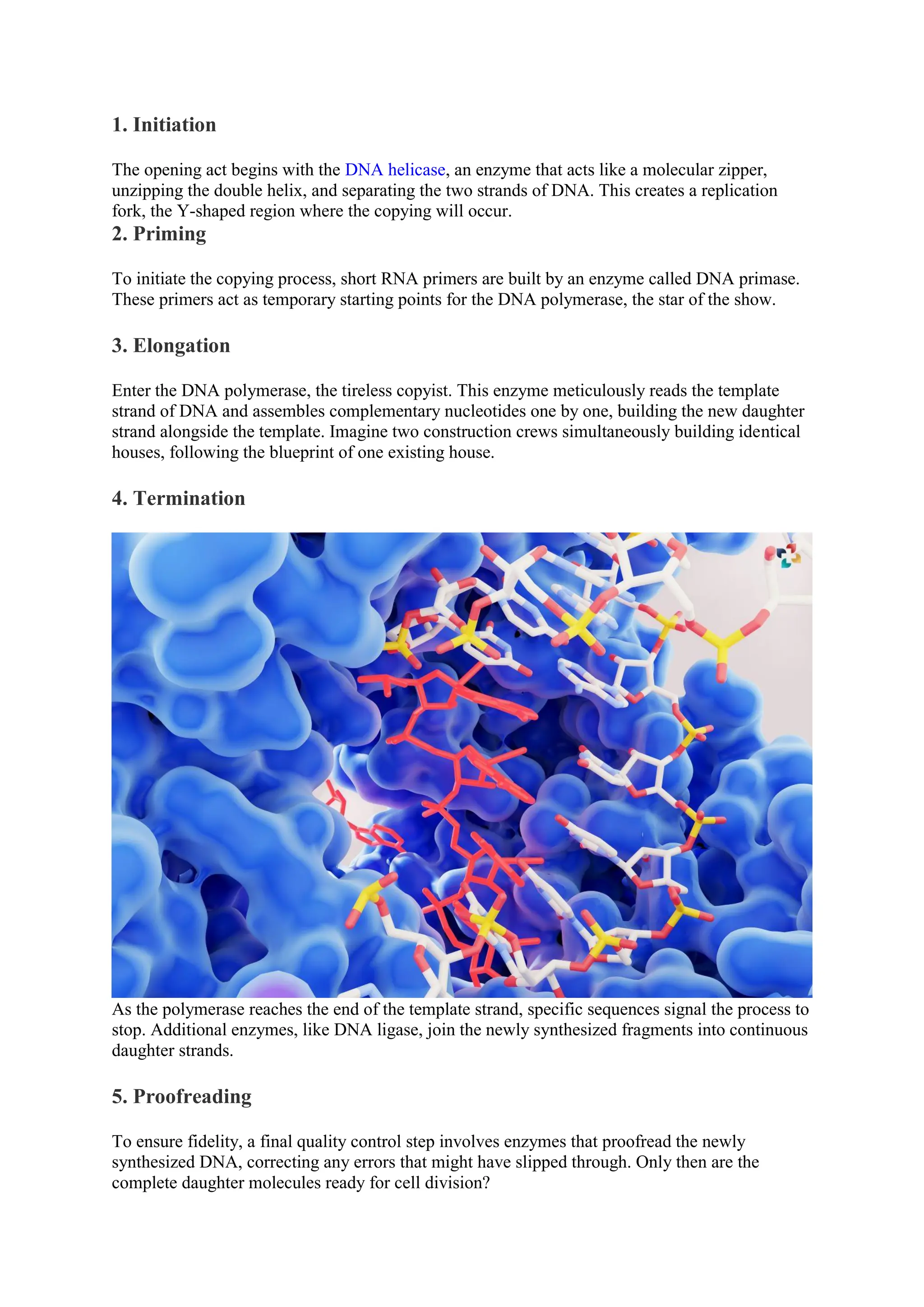 What is DNA Replication? 5 Steps and 4 Functions | The Lifesciences ...