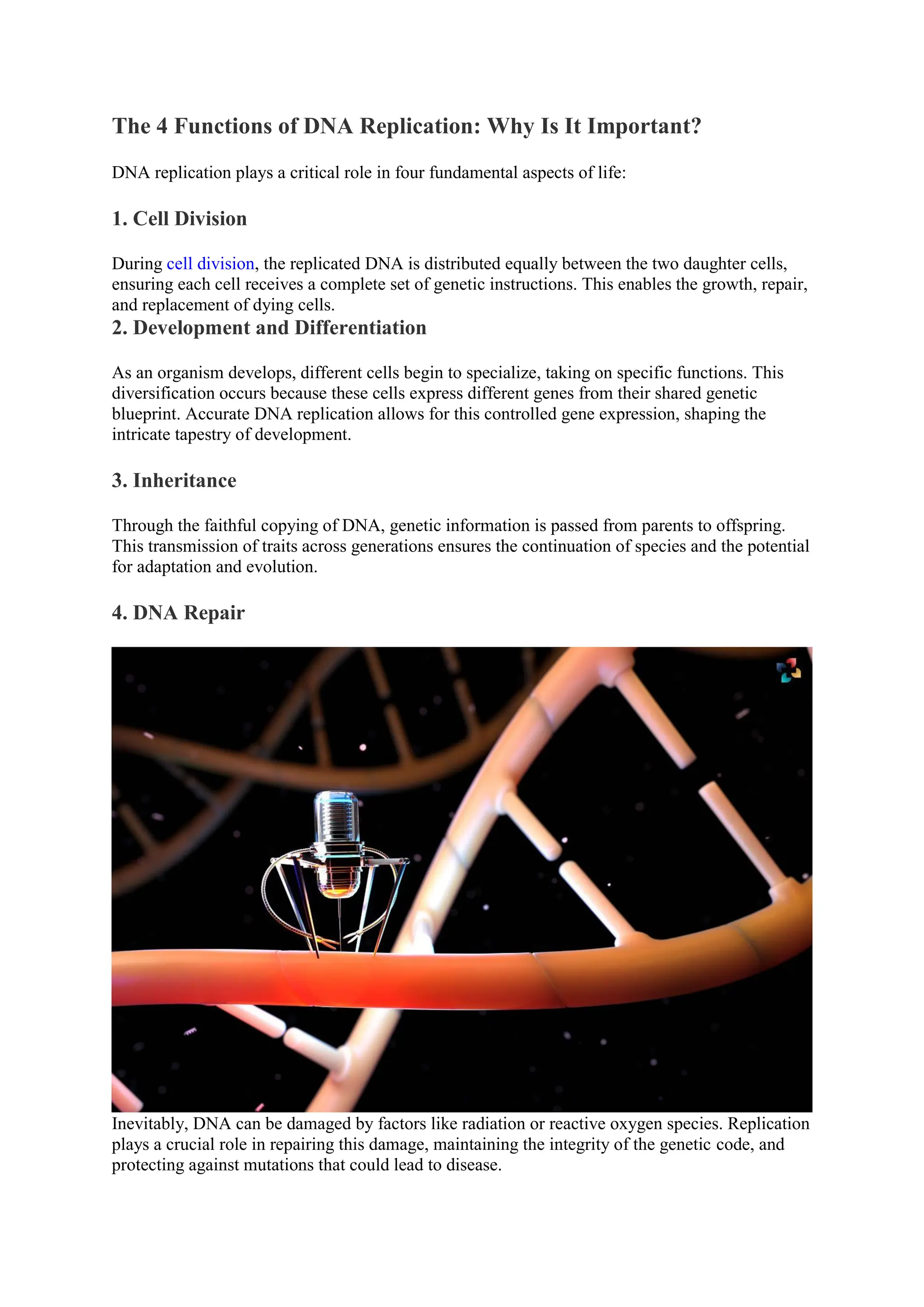What is DNA Replication? 5 Steps and 4 Functions | The Lifesciences ...