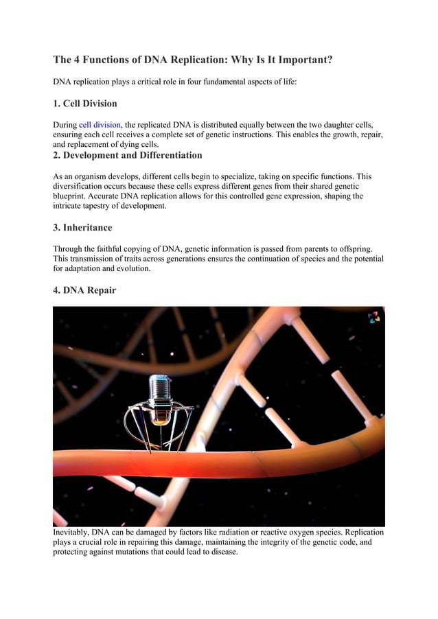 What is DNA Replication? 5 Steps and 4 Functions | The Lifesciences ...
