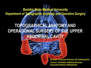 THE UPPER FLOOR OF ABDOMINAL CAVITY.pptx