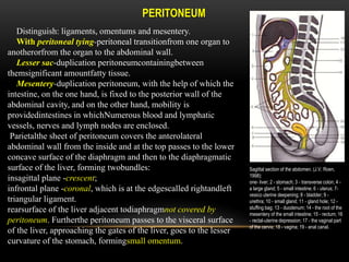 THE UPPER FLOOR OF ABDOMINAL CAVITY.pptx
