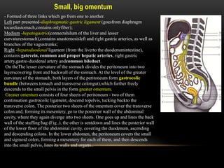 THE UPPER FLOOR OF ABDOMINAL CAVITY.pptx