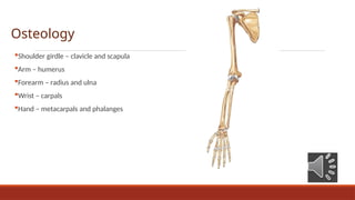 The Gross Anatomy of the Upper Extremities Part 1 | PPTX