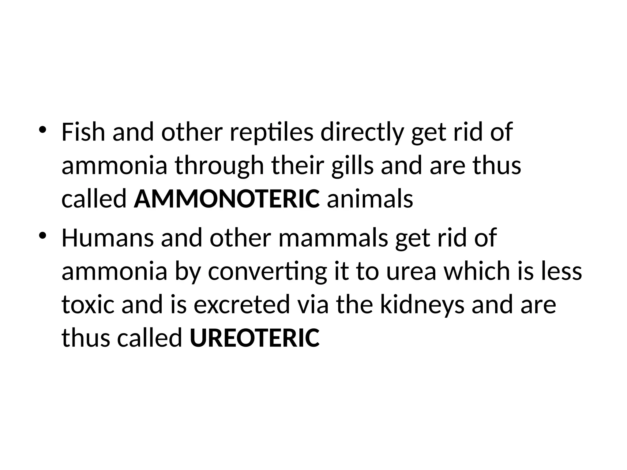 THE UREA CYCLE lecture outline sem.pptx