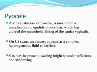 The urethra and male genital tract | PPT