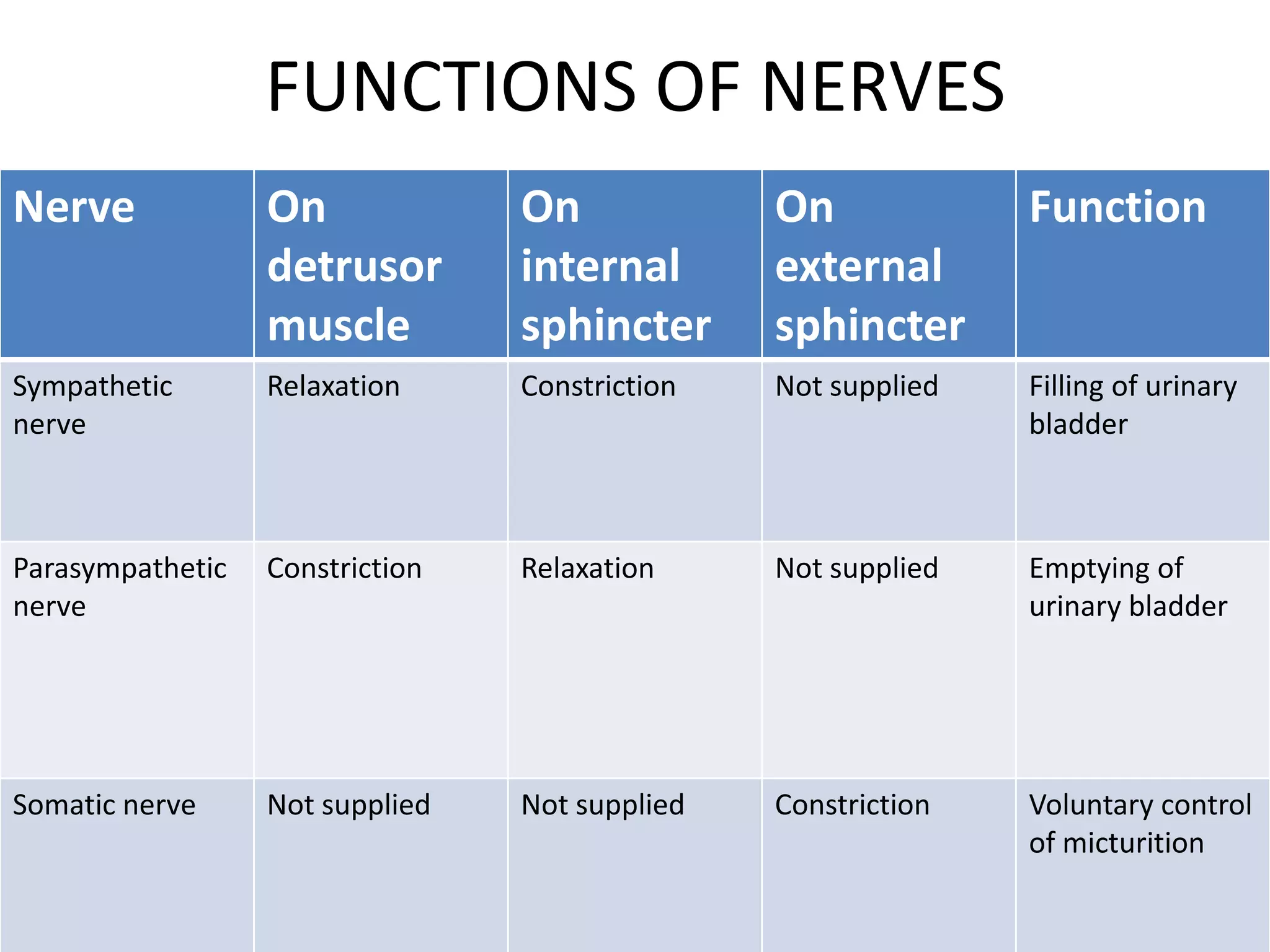 The urinary bladder | PPTX