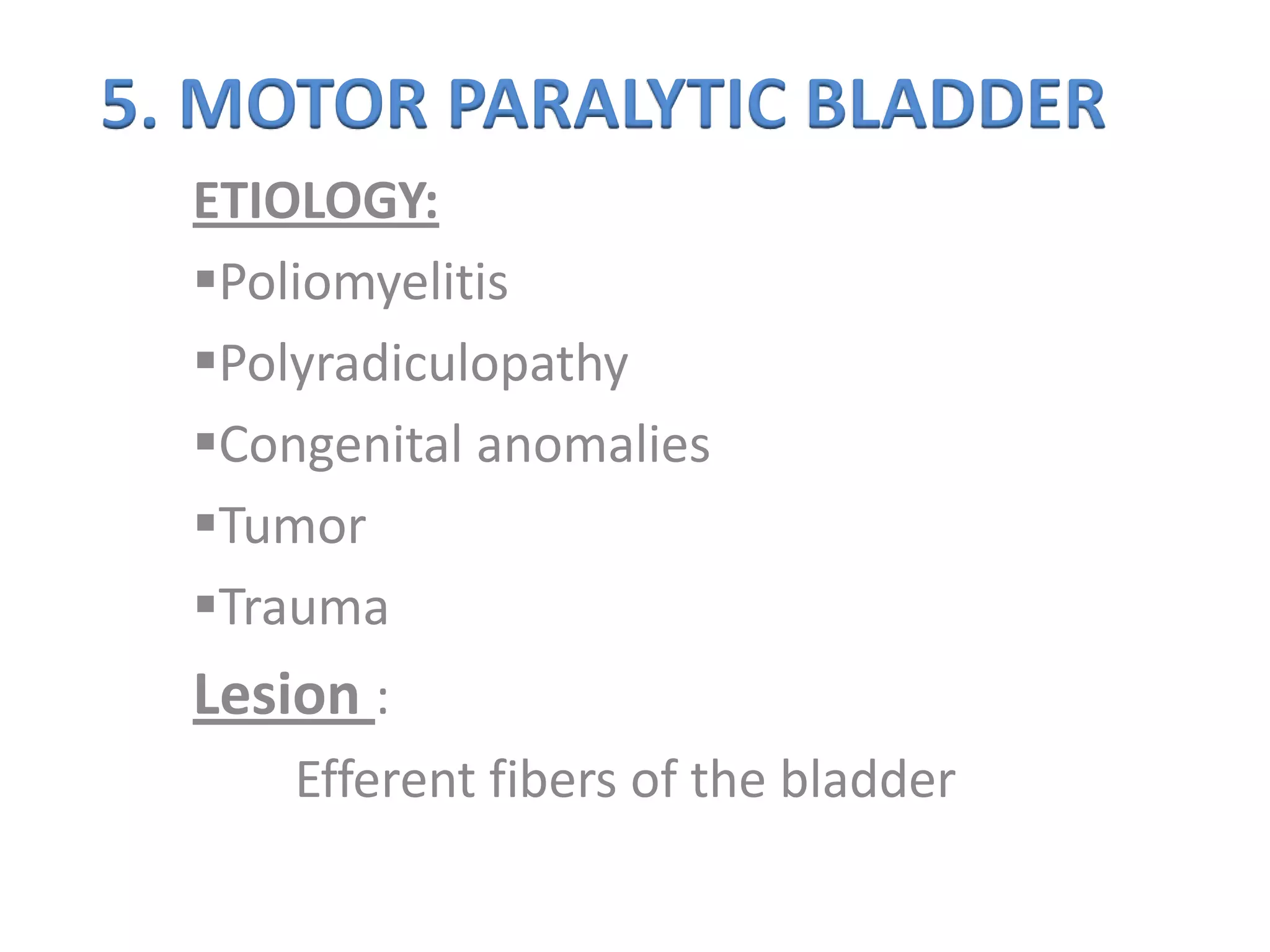 The urinary bladder | PPTX