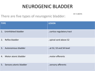 The urinary bladder | PPTX