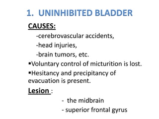 The urinary bladder | PPTX
