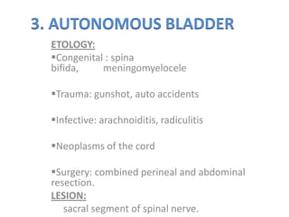 The urinary bladder | PPTX