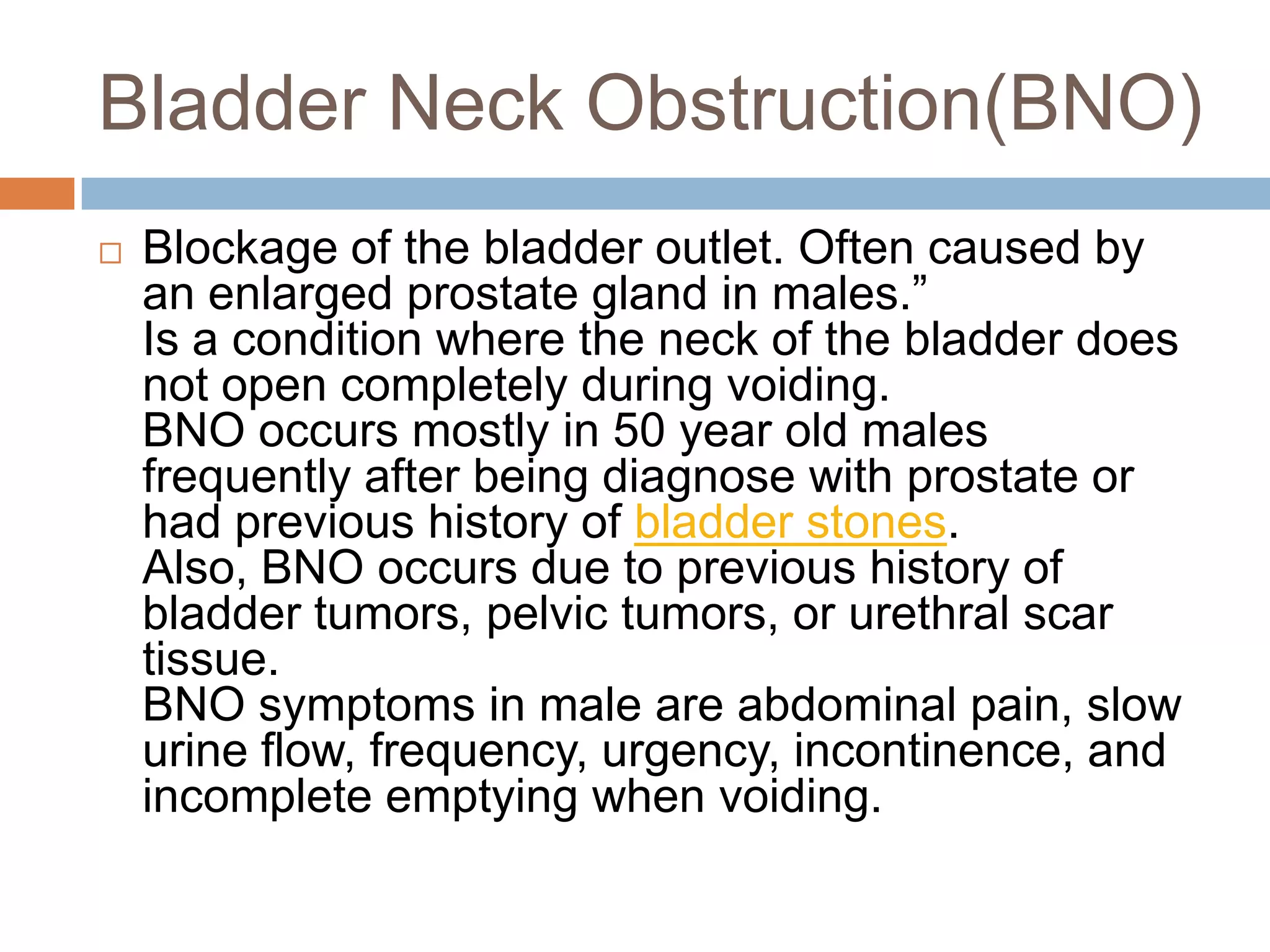 The urinary system | PPTX