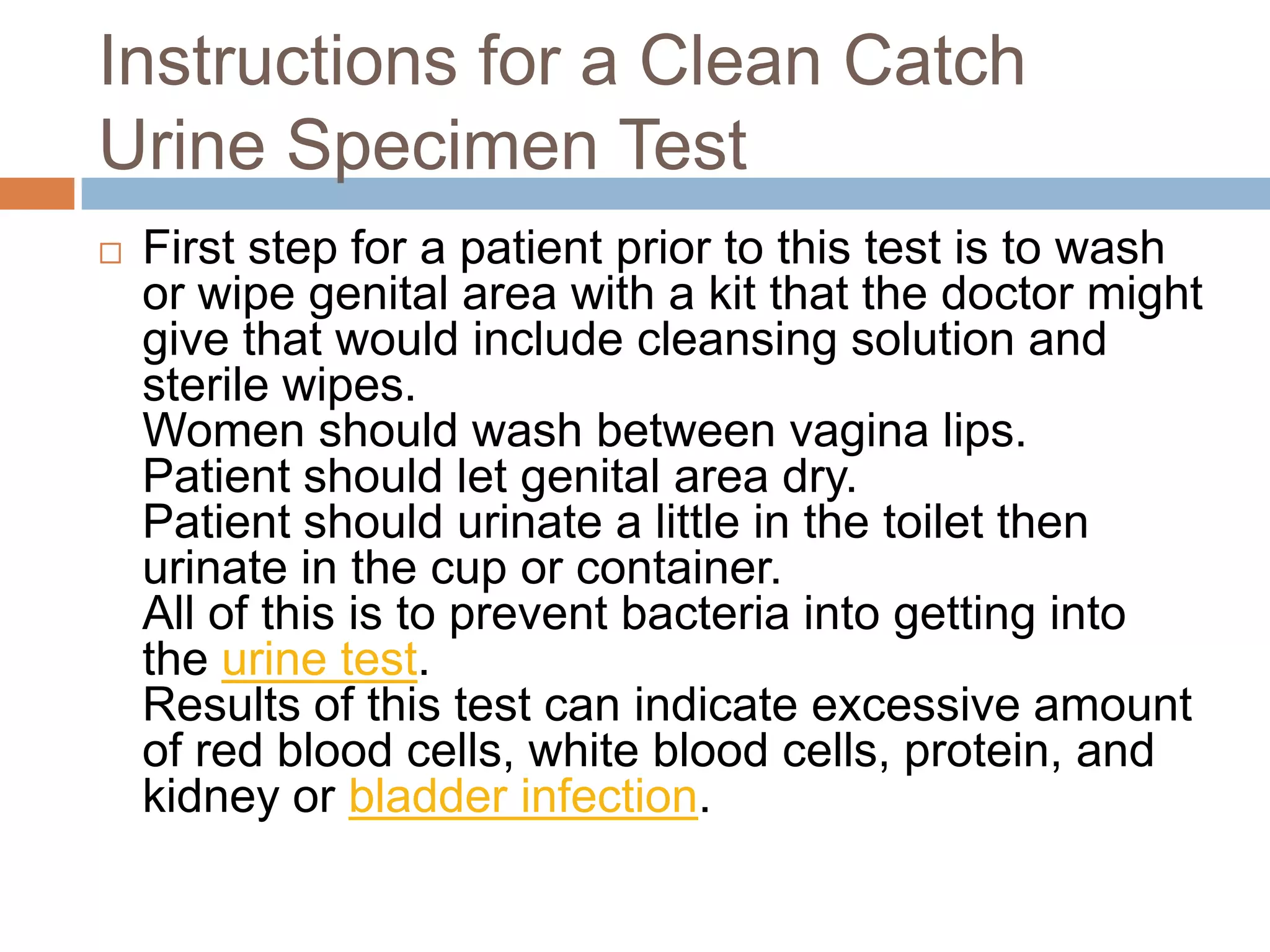 The urinary system | PPTX