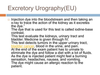 The urinary system | PPTX
