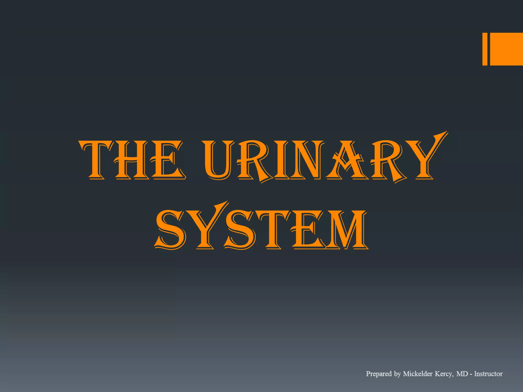 The urinary system | PDF | Chemistry | Science