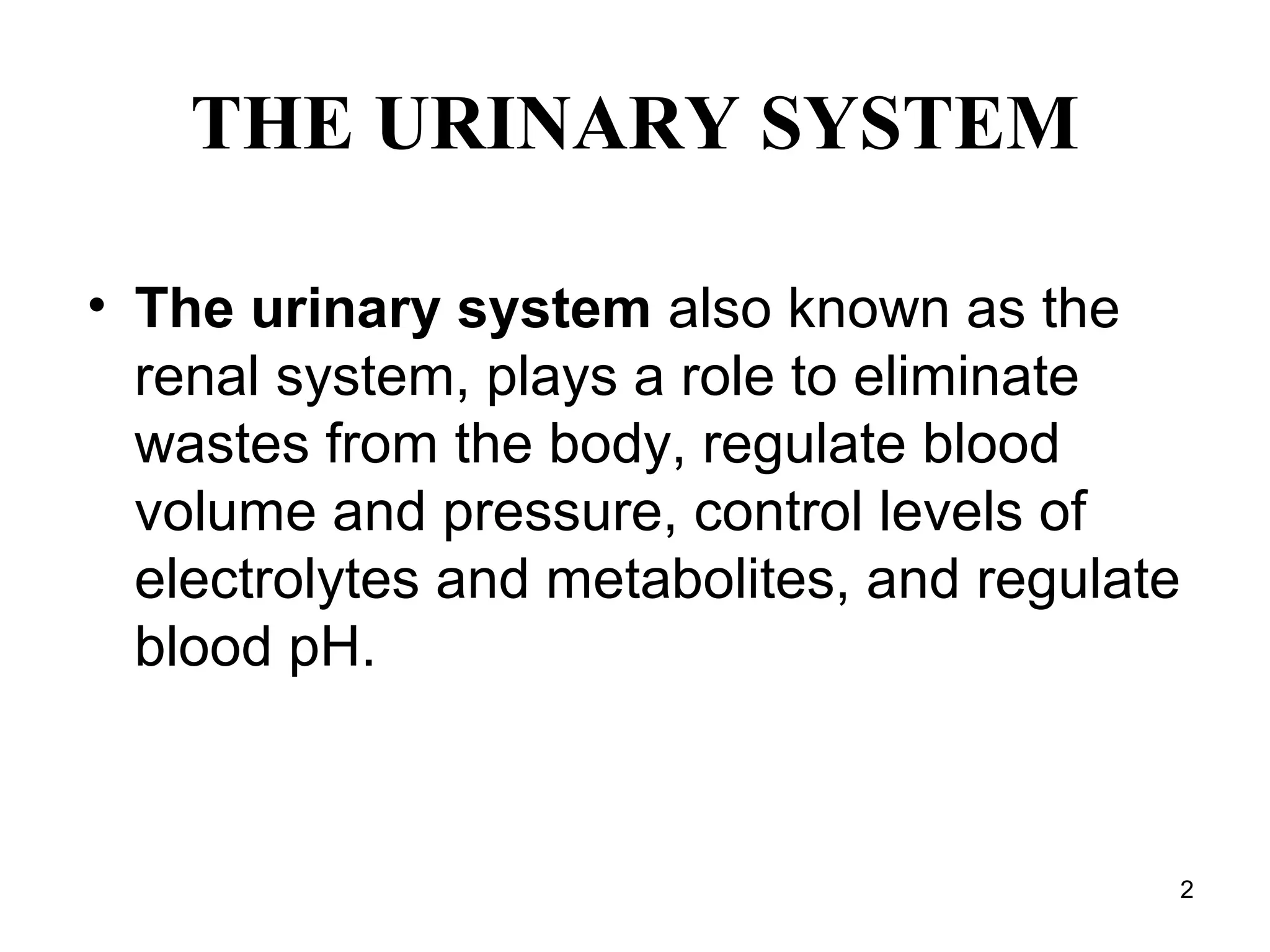 The urinary system | PPT