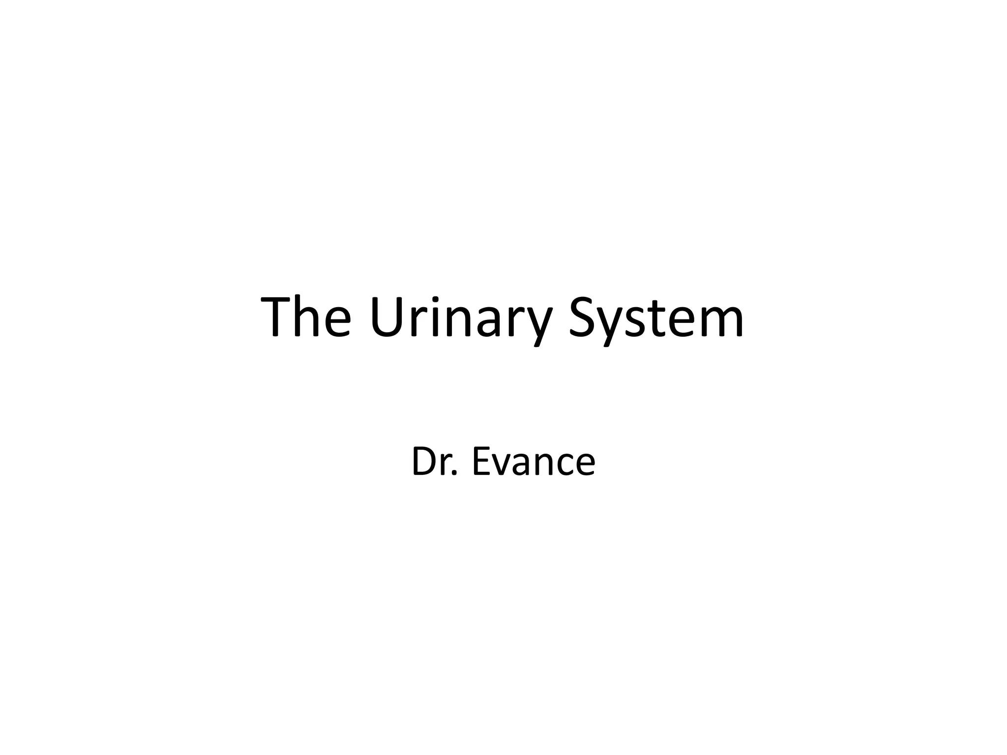 The urinary system | PPTX | Reproductive Health | Diseases and Conditions