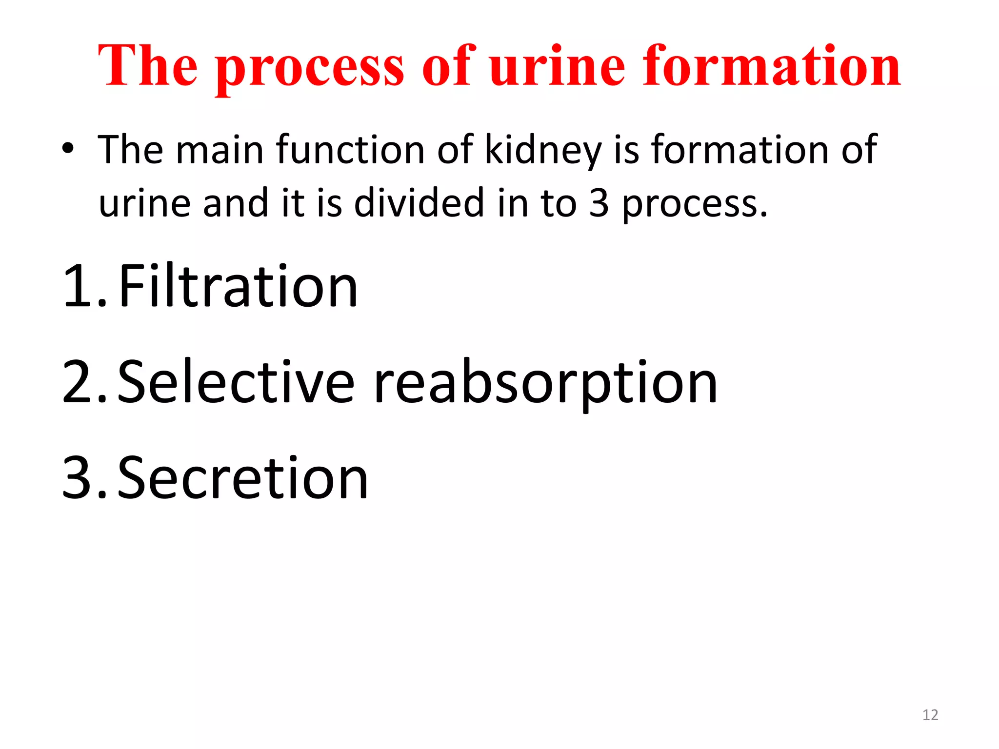 The urinary system | PPTX