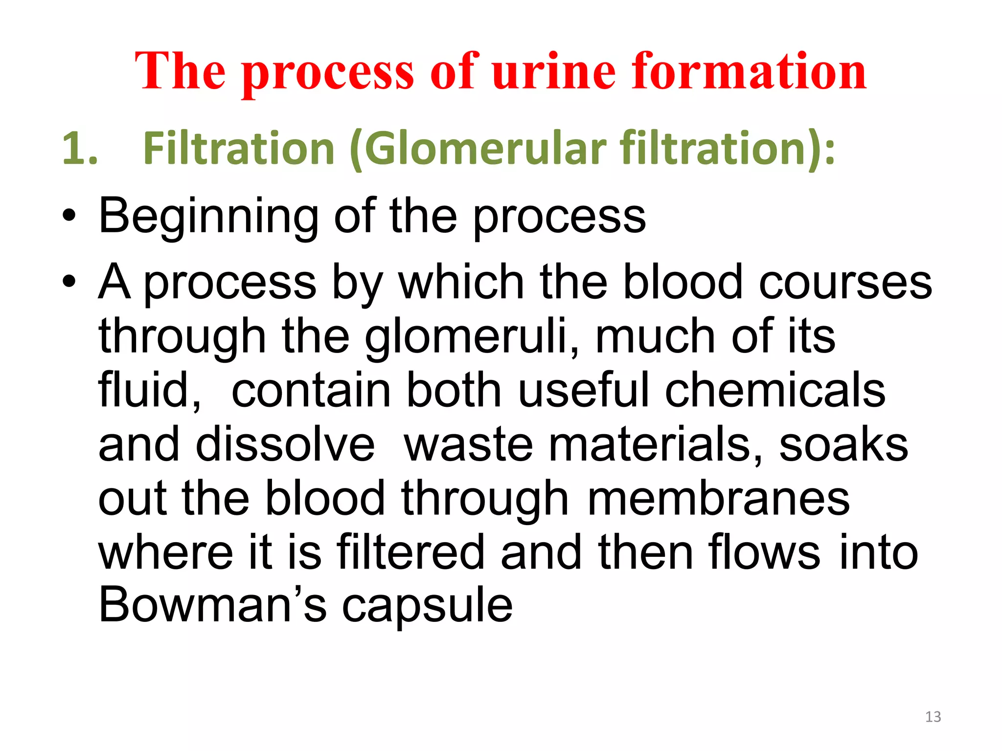 The urinary system | PPTX