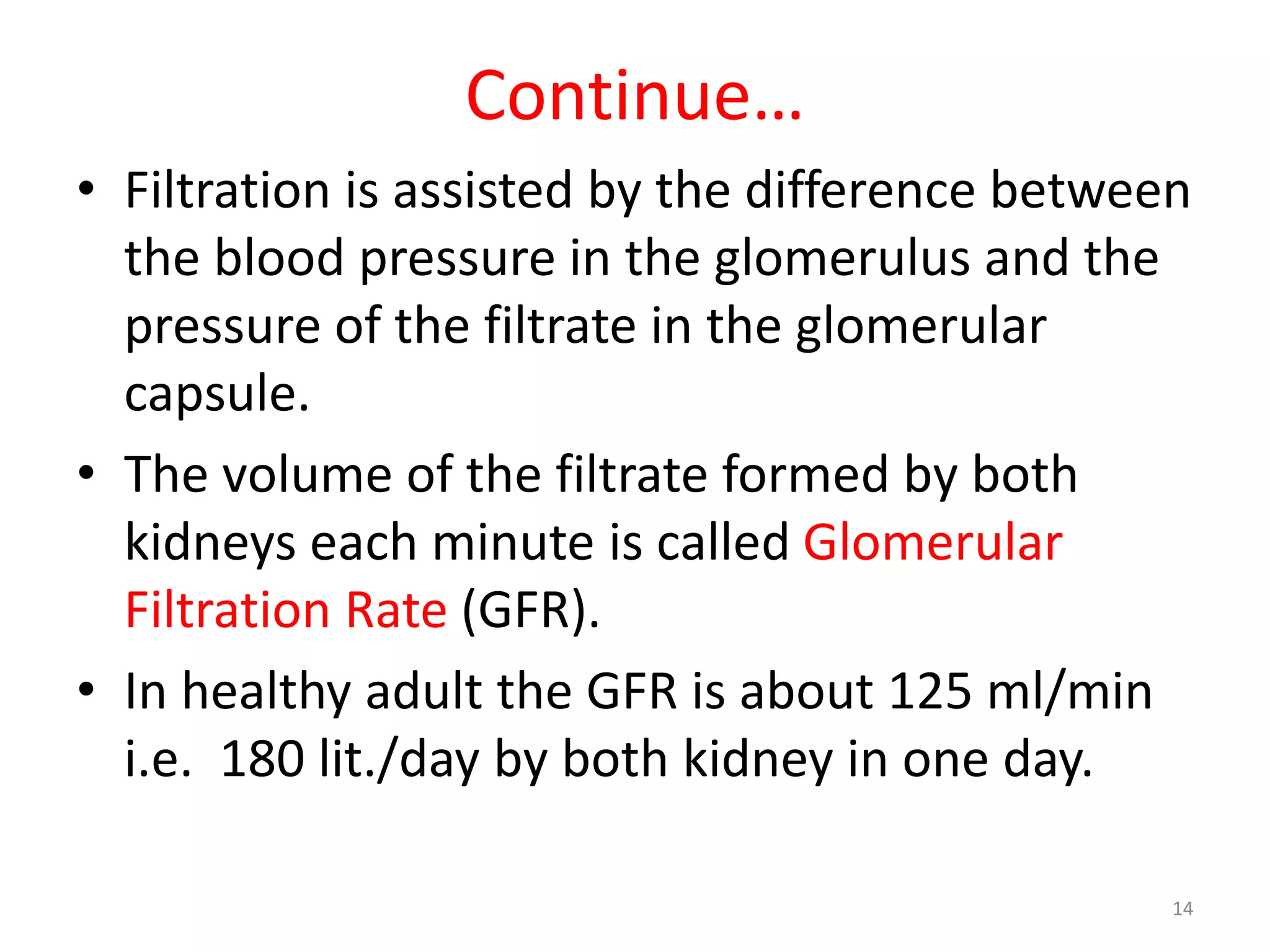The urinary system | PPTX