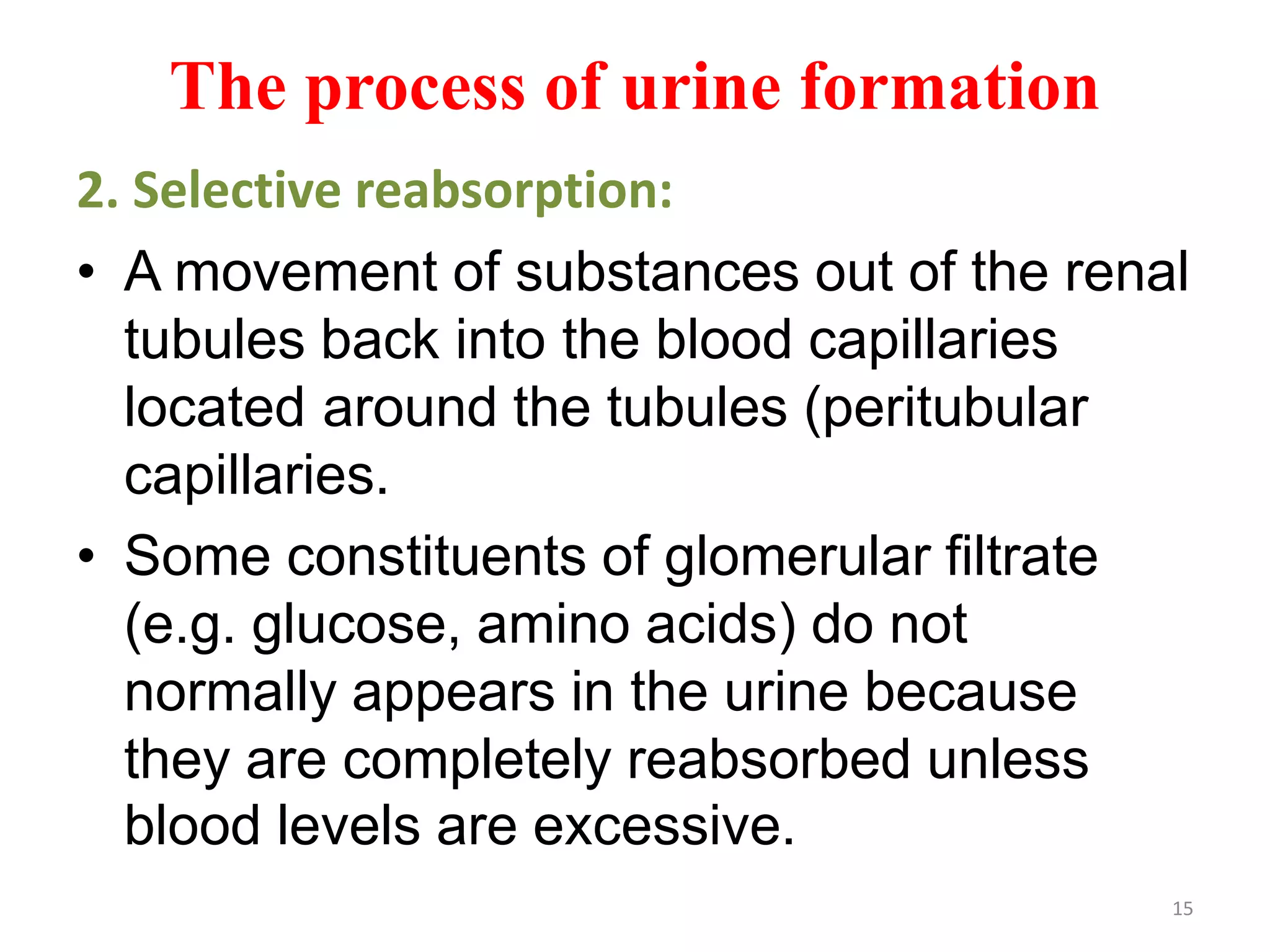 The urinary system | PPTX