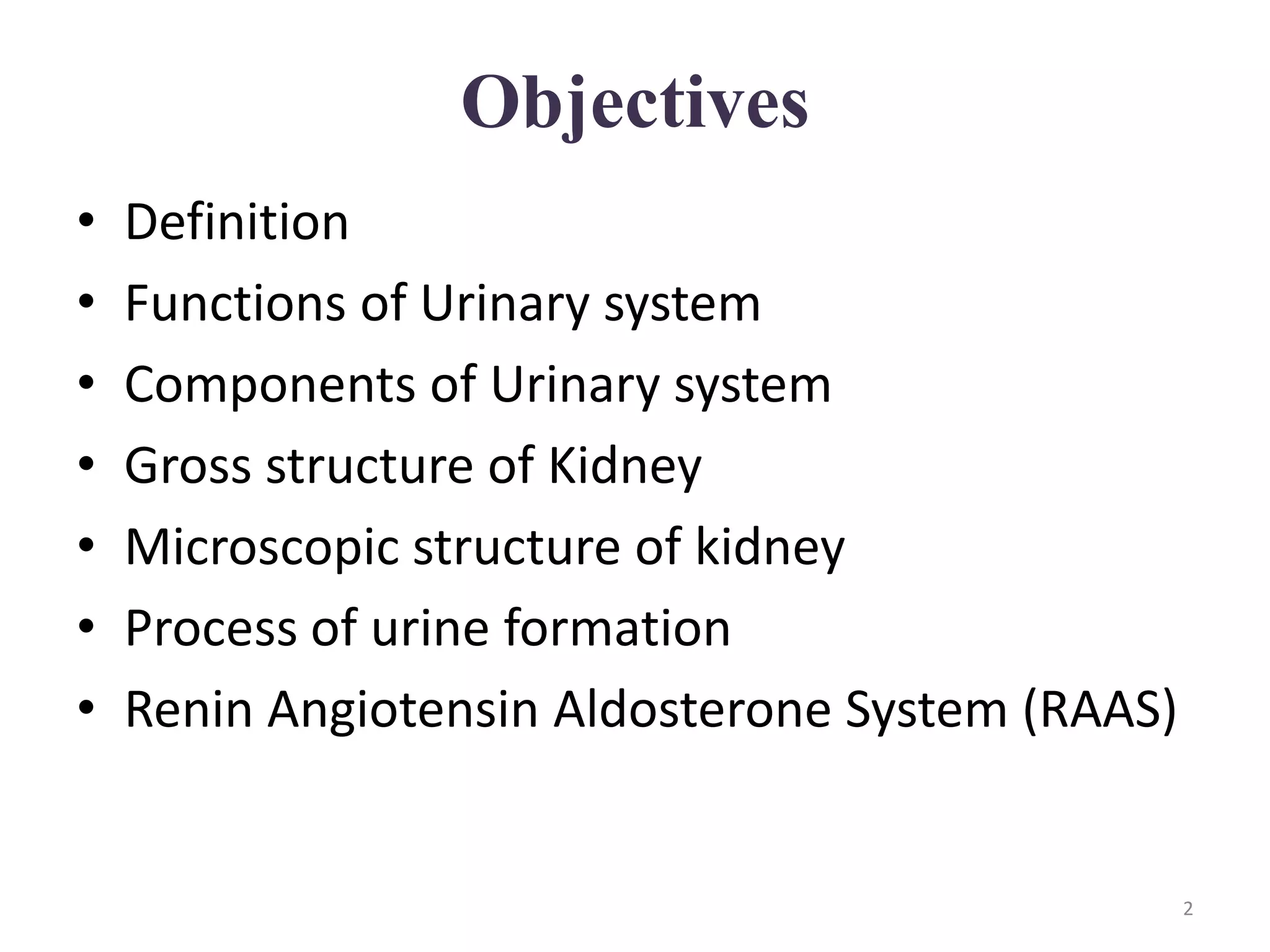 The urinary system | PPTX