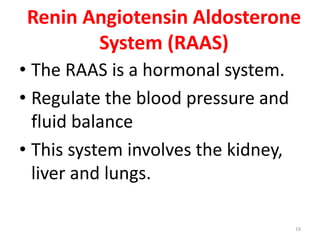 The urinary system | PPTX