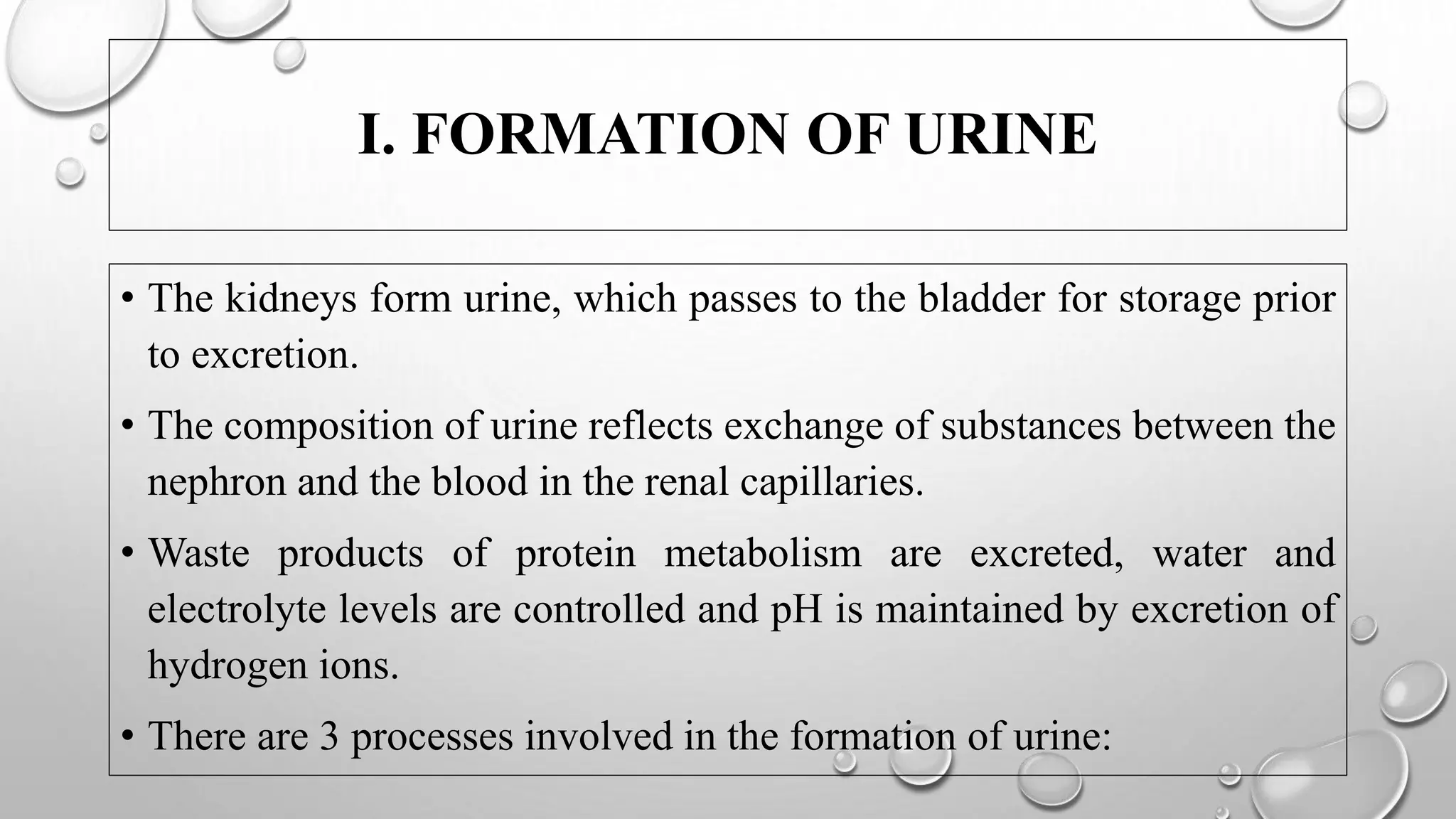 The urinary system | PPTX