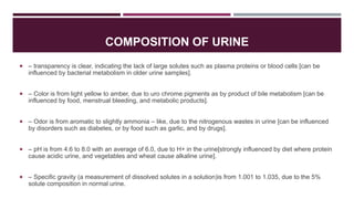 The urinary system | PPT