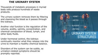 THE URINARY SYSTEM.pdf | Chemistry | Science