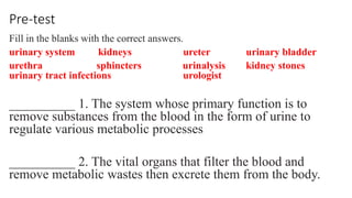 The Urinary System.pptx