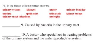 The Urinary System.pptx