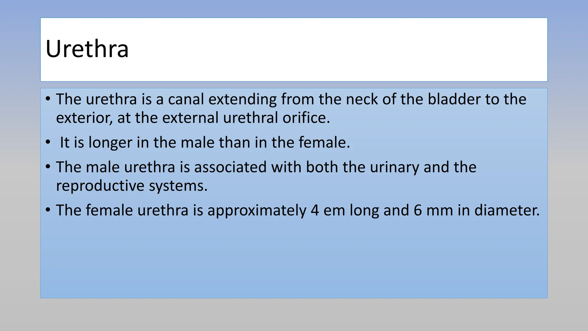 THE URINARY SYSTEM anatomy and physiology | PDF