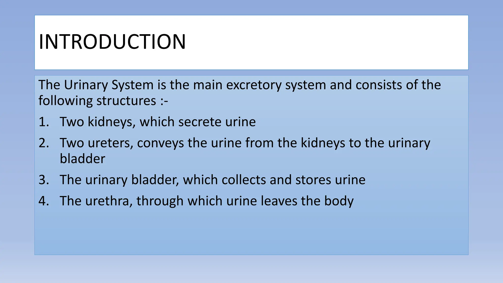 THE URINARY SYSTEM anatomy and physiology | PPT