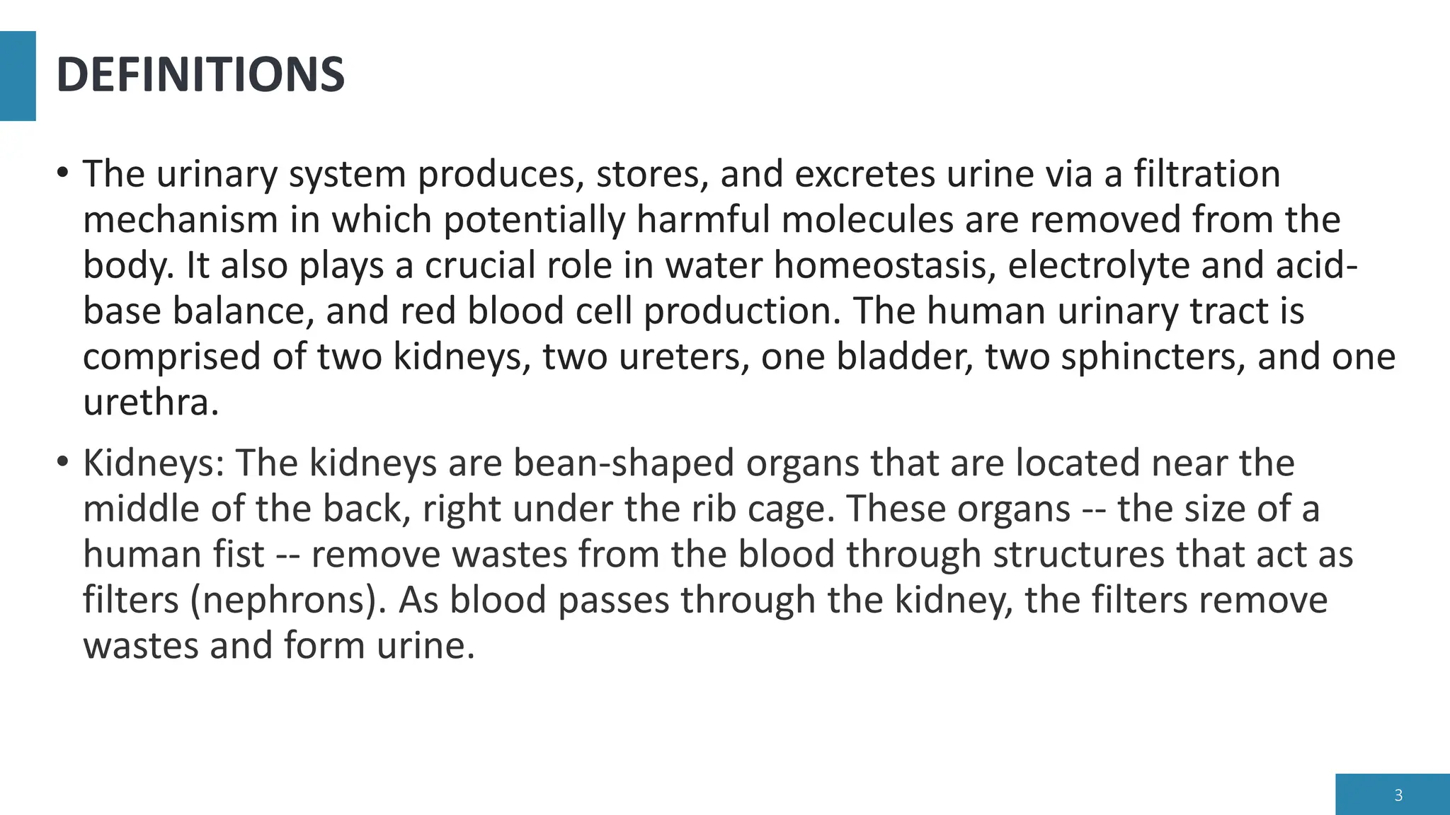BASIC INTRODUCTION TO THE URINARY SYSTEM.pptx