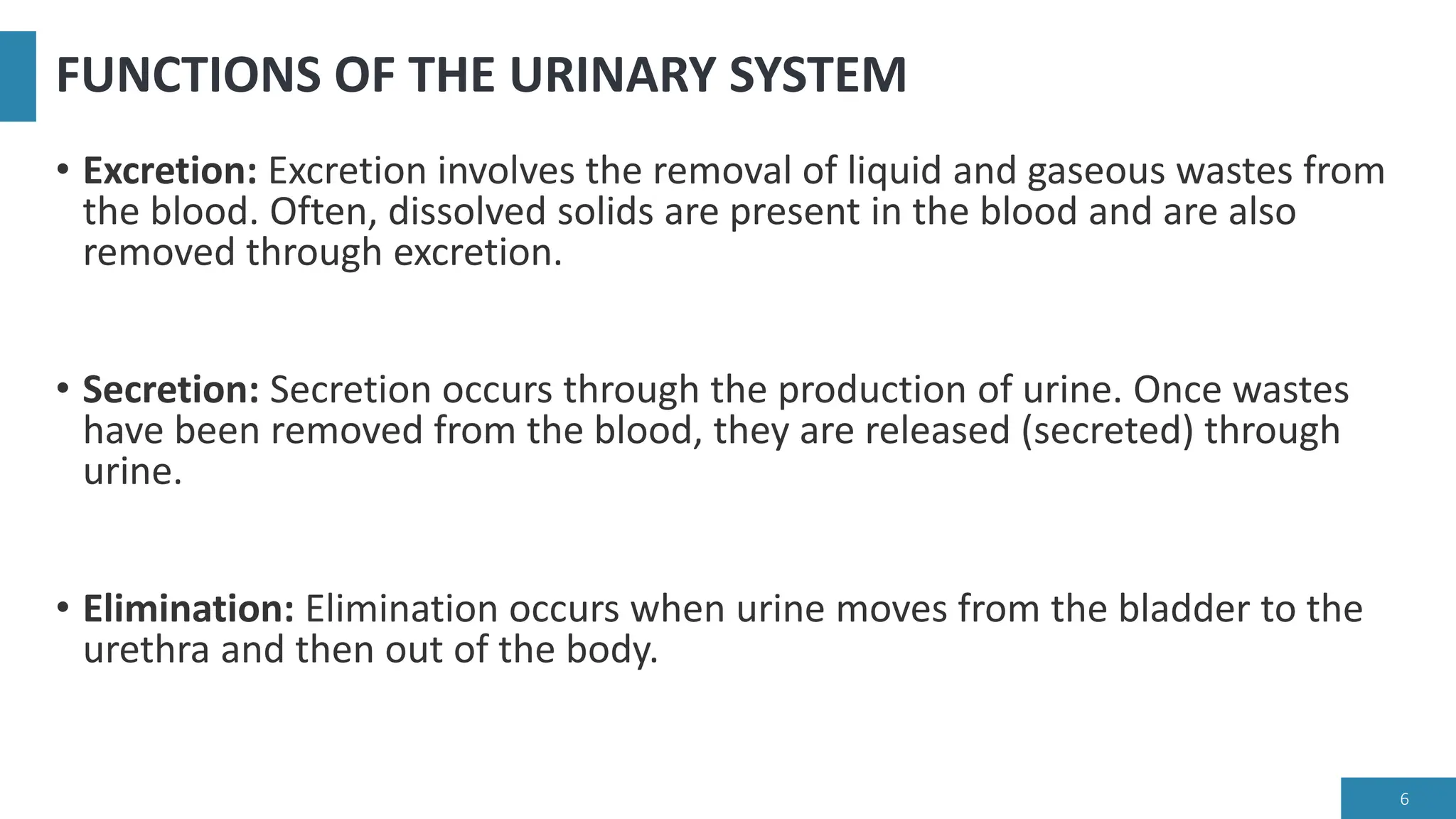 BASIC INTRODUCTION TO THE URINARY SYSTEM.pptx