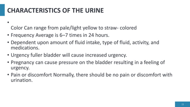 BASIC INTRODUCTION TO THE URINARY SYSTEM.pptx