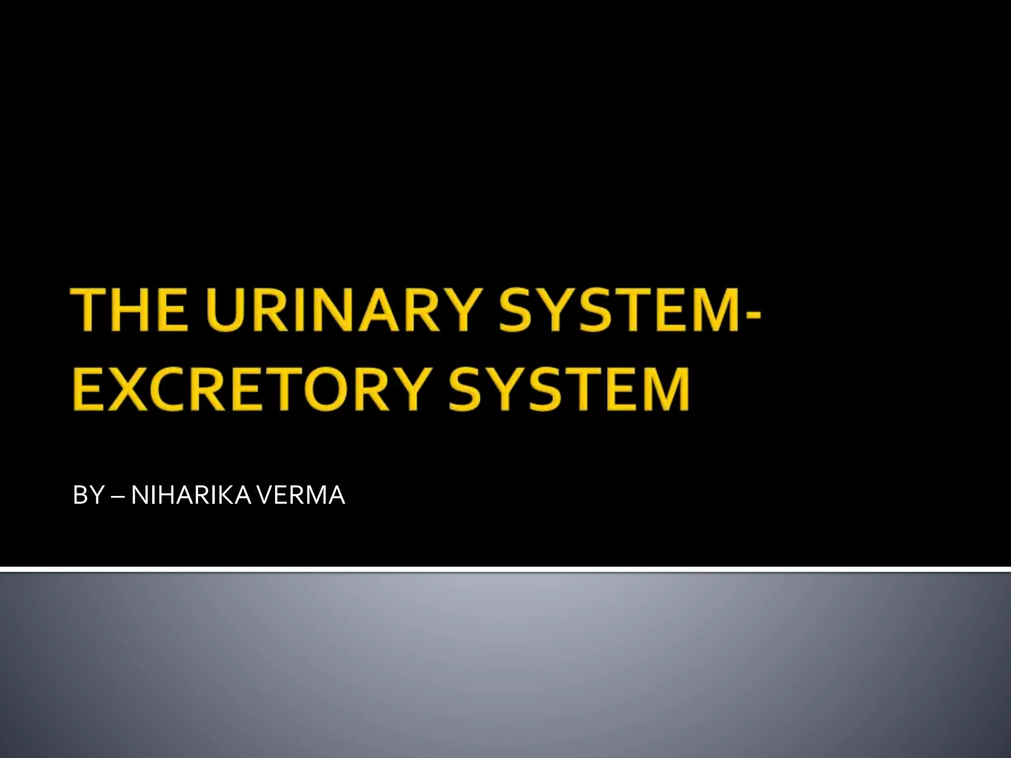 The urinary system excretory system | PPT