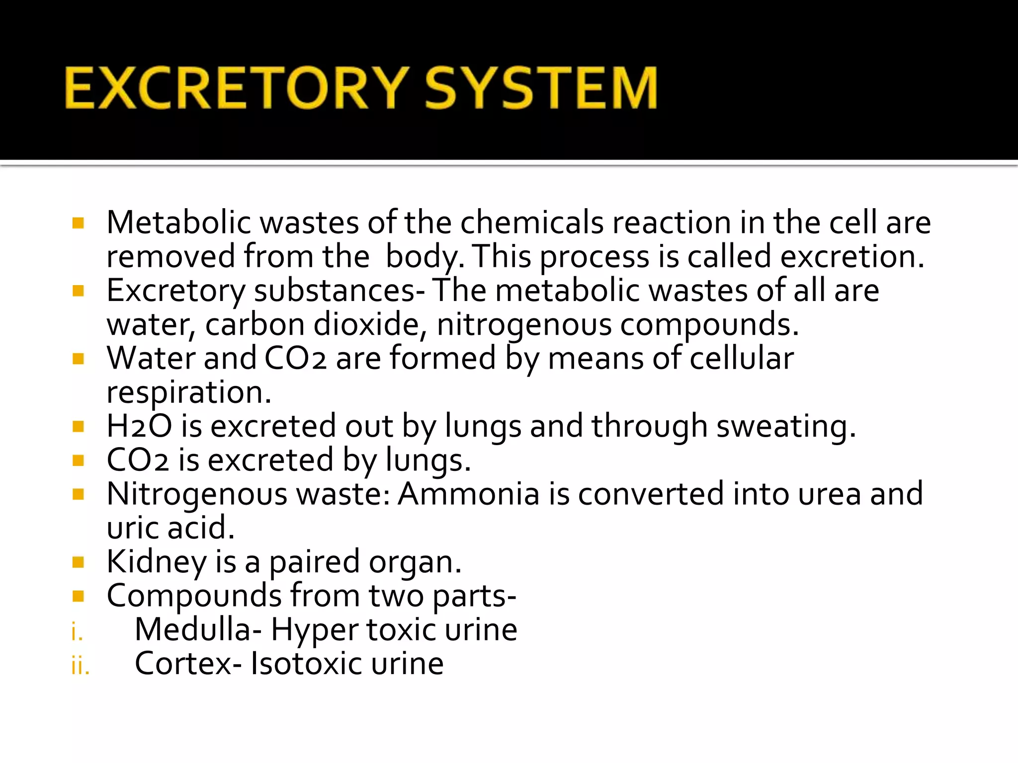The urinary system excretory system | PPT