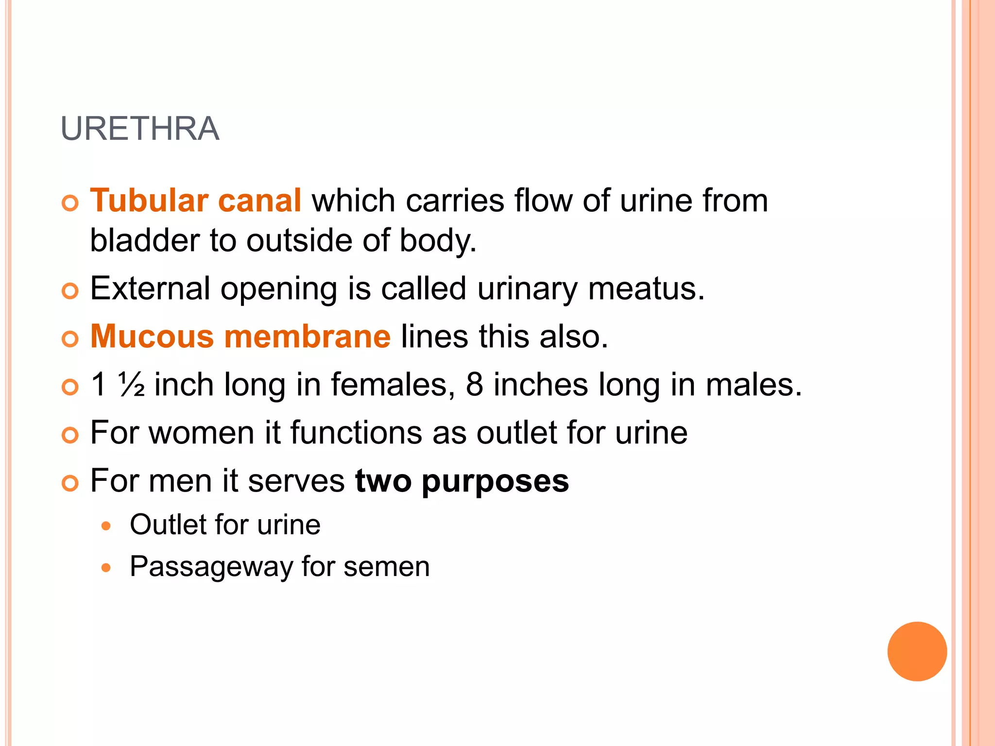 The Urinary System Chapter 9 | PPTX | Medical Tests | Medical Health