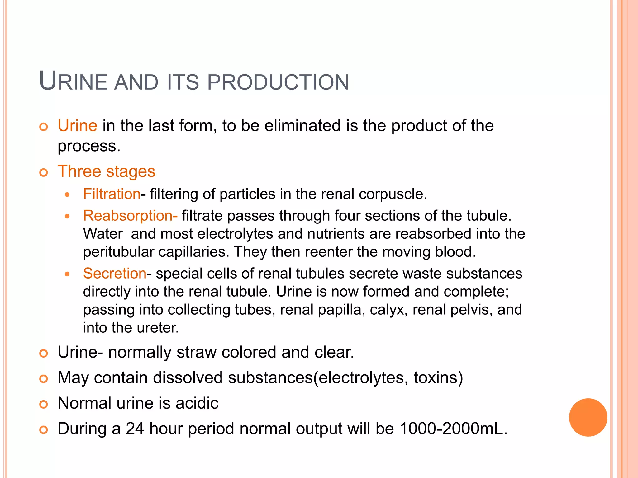 The Urinary System Chapter 9 | PPTX